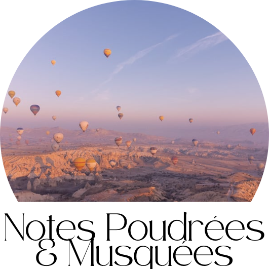 Notes Poudrées & Musquées – Sunkissed Collections